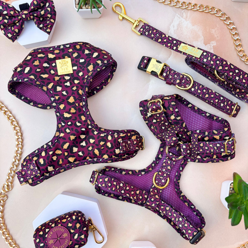 Paw Couture | The Luxury Dog Accessories Store | Dog Harnesses & More!